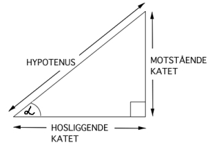 Hva er sinus og cosinus